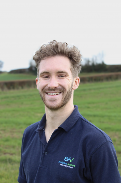 Meet the team | Evolution Farm Vets